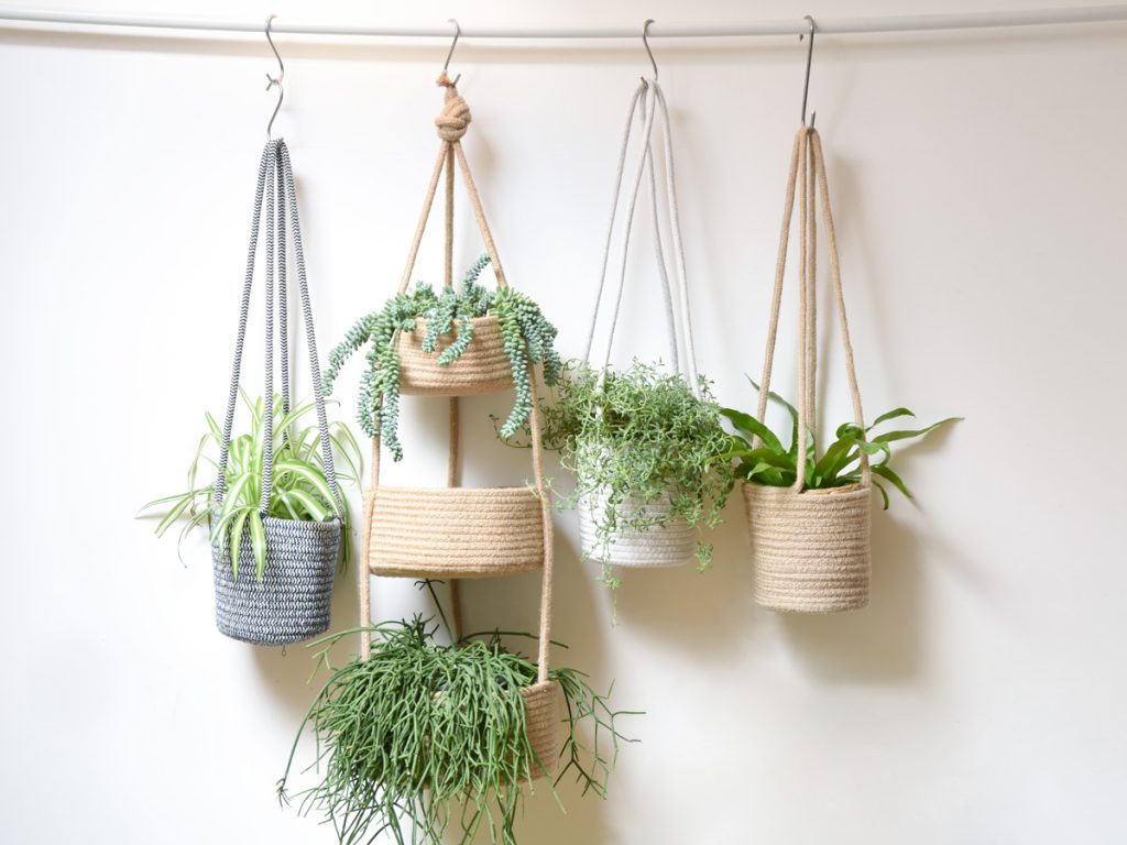 Green is the new black: create your own indoor garden – Futon Company Blog